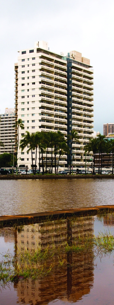 Envisioning In-Situ Sea Level Rise Adaptation for Coastal Cities ...