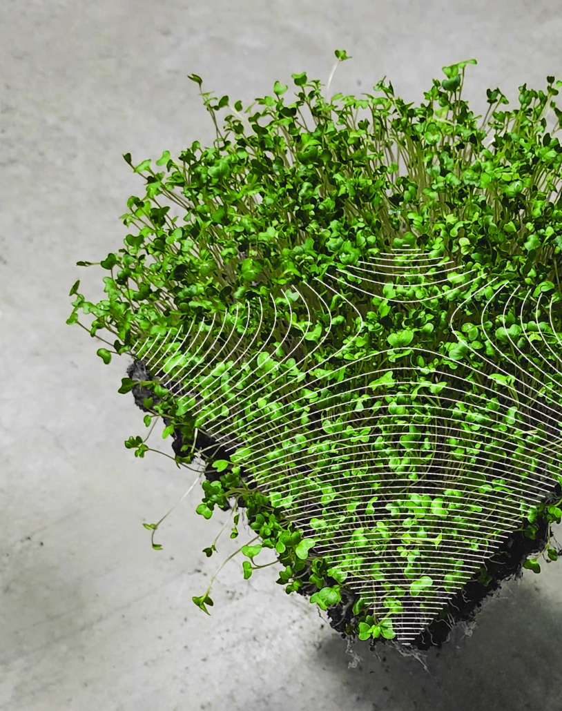 Agritecture: A Transcalar Organic Coding Framework for Soil as a ...